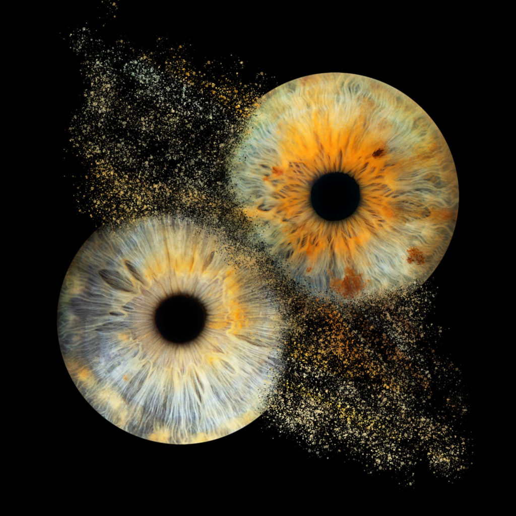 Iris Galerie Franchise | Your Eye For Art