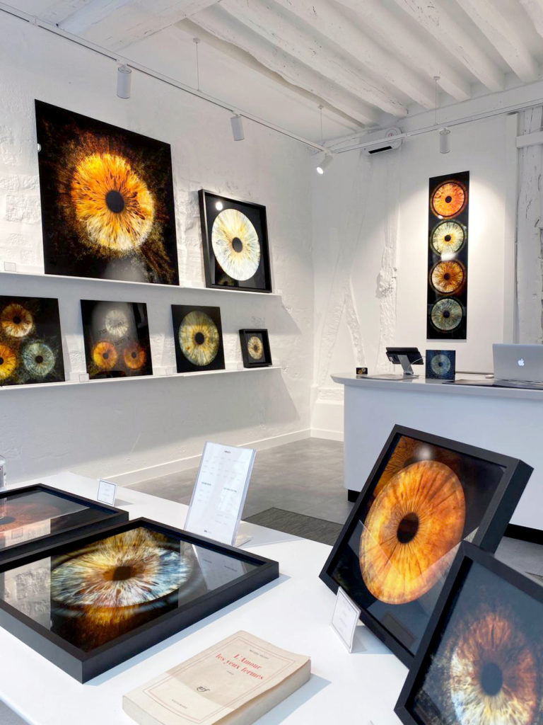Iris Galerie Franchise | Turning Uniqueness into Art