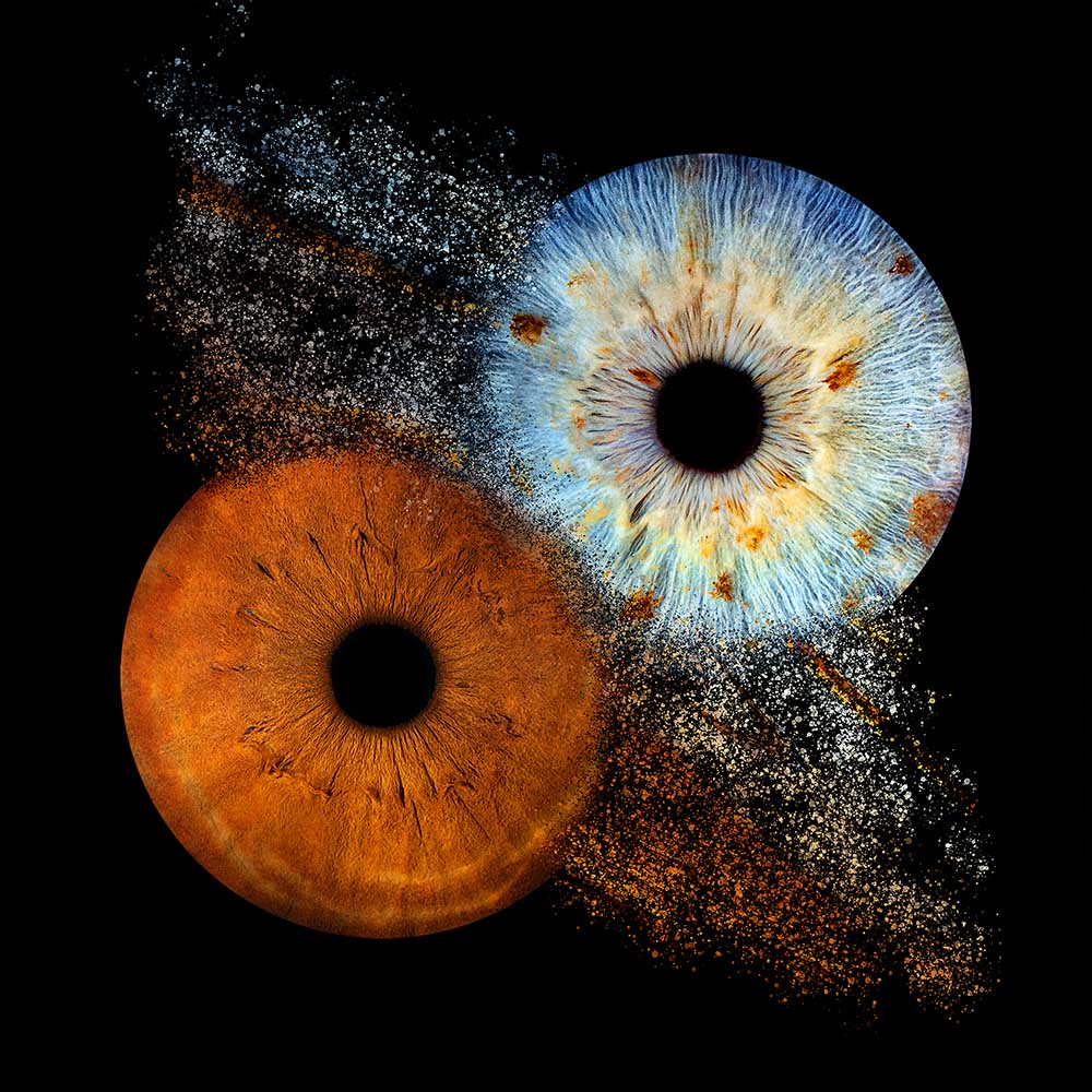 Iris Galerie Franchise | Turning Uniqueness into Art